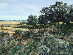 Marsh III – Gordon Wheeler Gallery