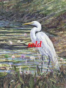 Still – Gordon Wheeler Gallery